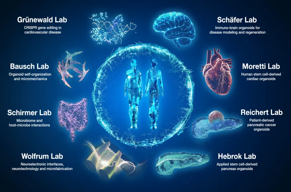Home - TUM Center for Organoid Systems and Tissue Engineering